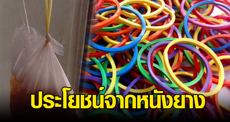 12 ประโยชน์จากหนังยาง